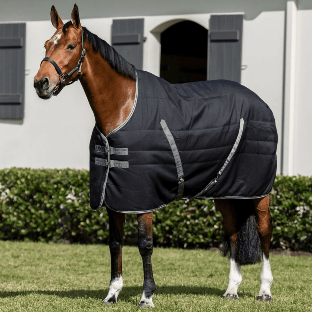 Rambo Stable Blanket with Embossed Lining – Olson's Tack Shop