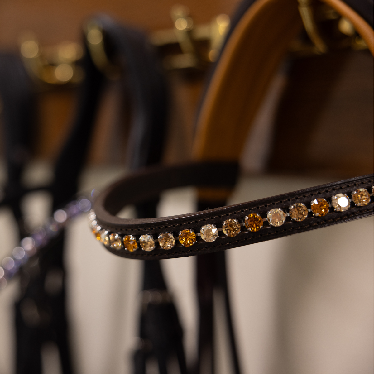 Bridles & Bits – Olson's Tack Shop