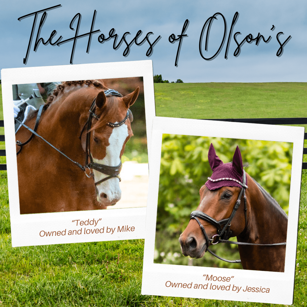 English Riding Store: Equestrian Retailer | Olson's Tack Shop