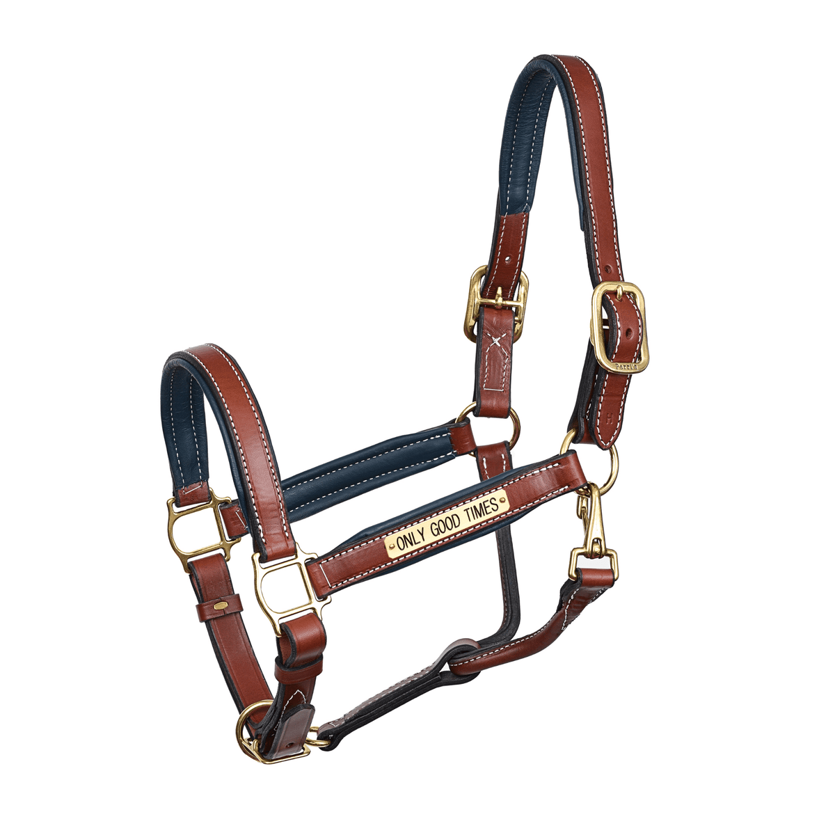 Perri's Custom Padded Halter With Engraved Plate – Olson's Tack Shop
