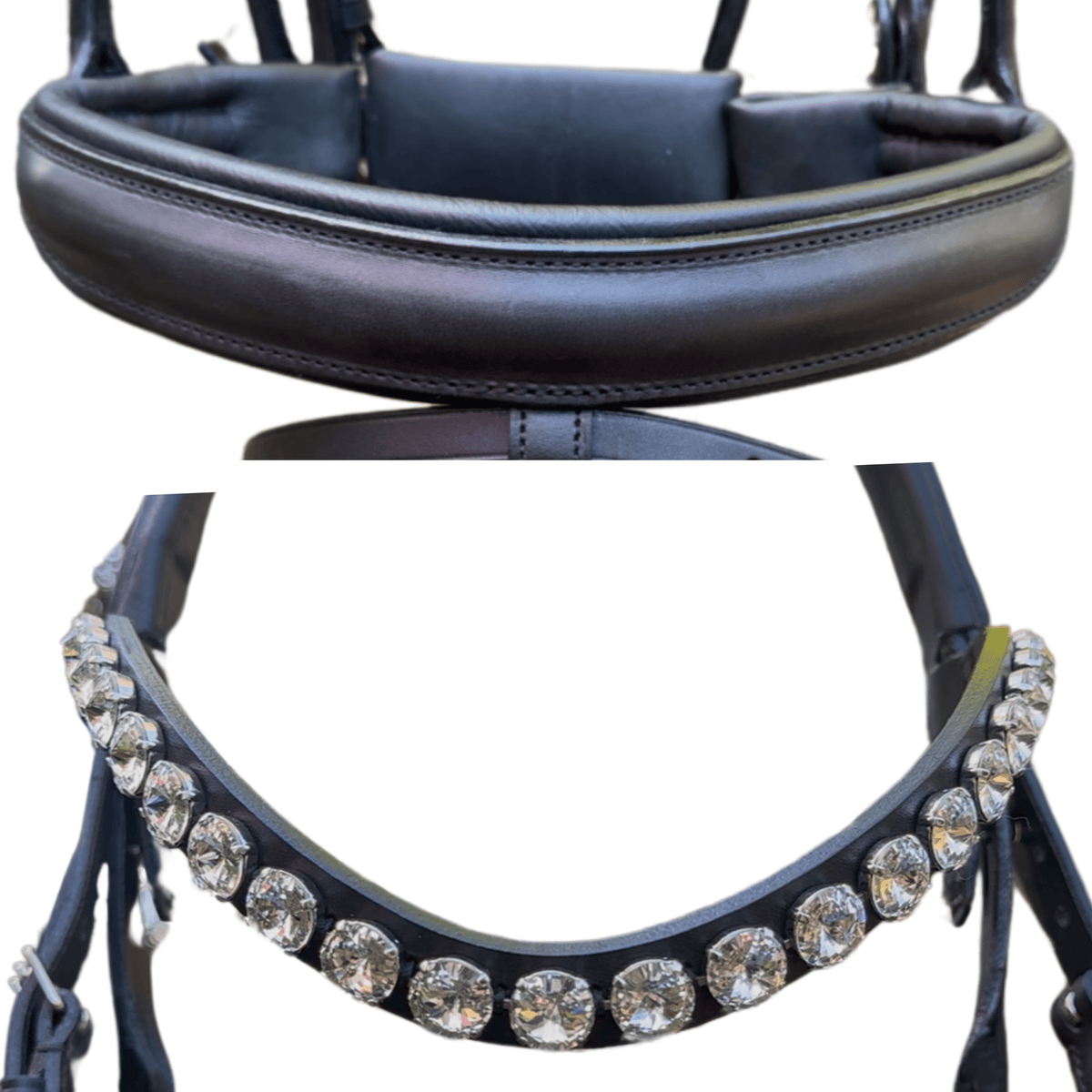 Otto Schumacher Black Bellevue Snaffle – Olson's Tack Shop