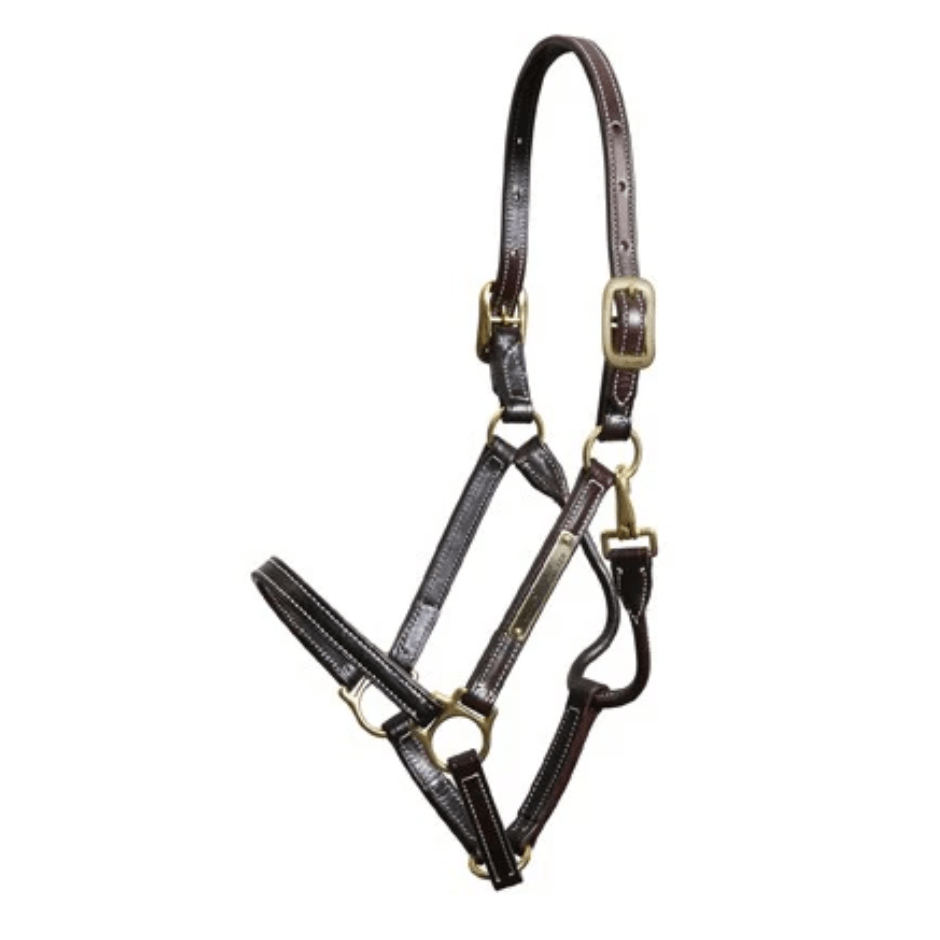 Walsh Showman 3/4" Halter – Olson's Tack Shop