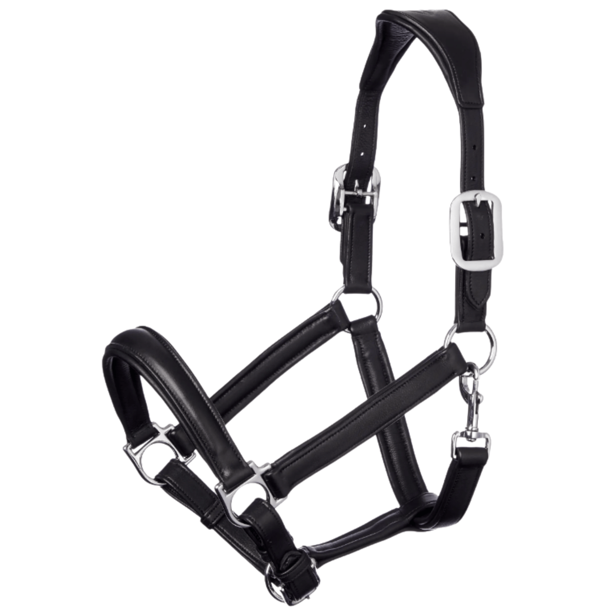 LeMieux Anatomical Leather Halter – Olson's Tack Shop