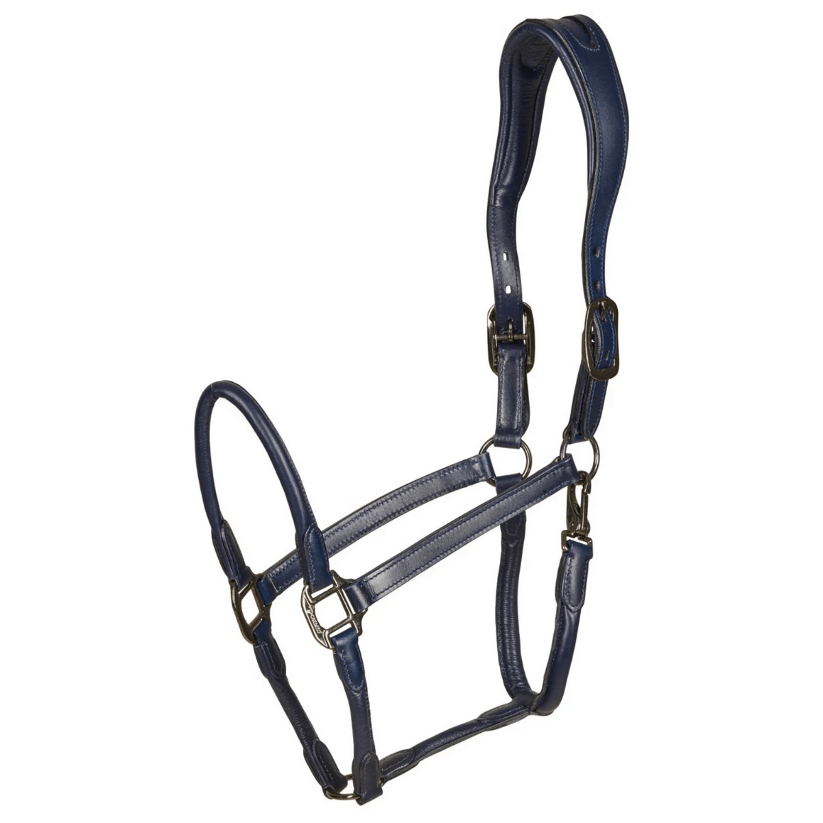 Catago Leather Halter – Olson's Tack Shop