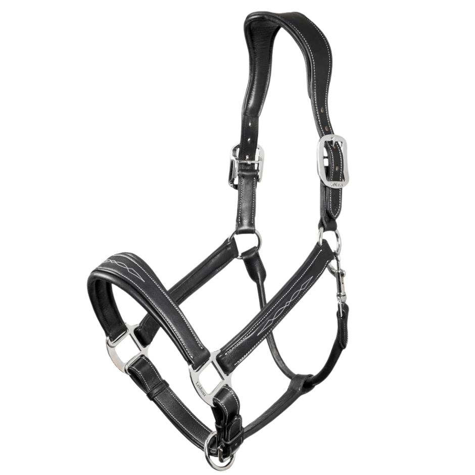 LeMieux Anatomical Stitched Leather Halter - Black – Olson's Tack Shop