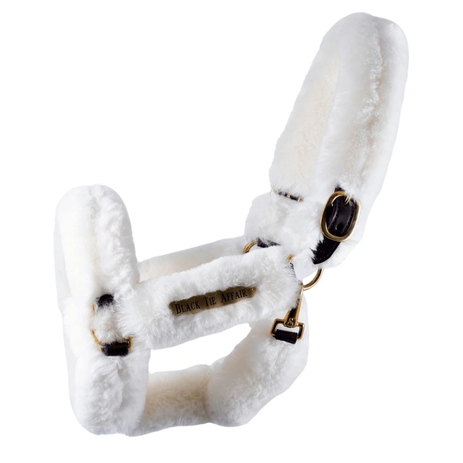 Perris Sheepskin Shipping Halter With Plate - Havana & Brass – Olson's ...