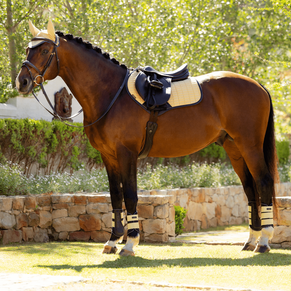 Online Equestrian Store: Dressage & Jumping Boots for Sale – Olson's ...