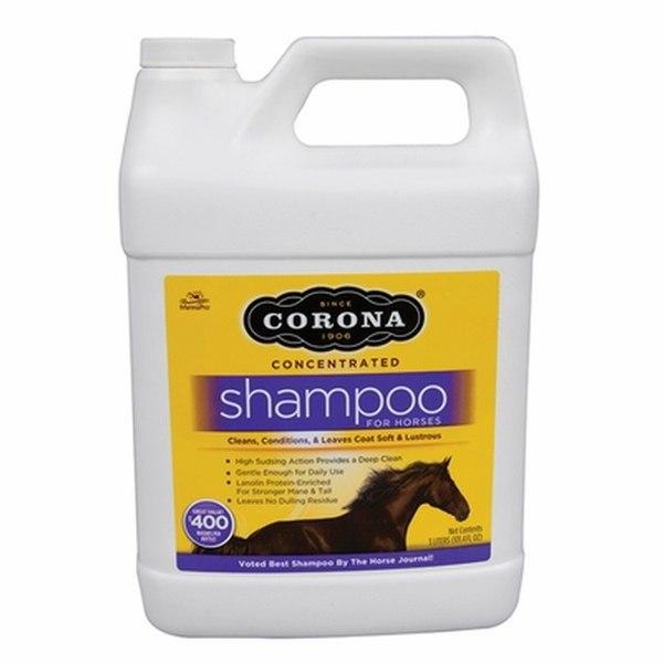 Corona Shampoo – Olson's Tack Shop
